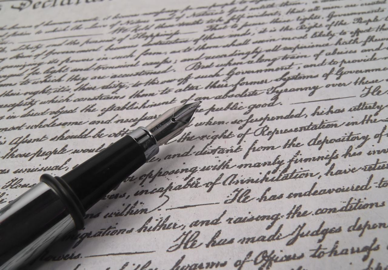 Difference Between Article and Essay - Jennifer Ackerman